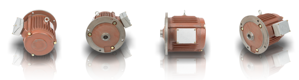 Hoist motor – GNTECH